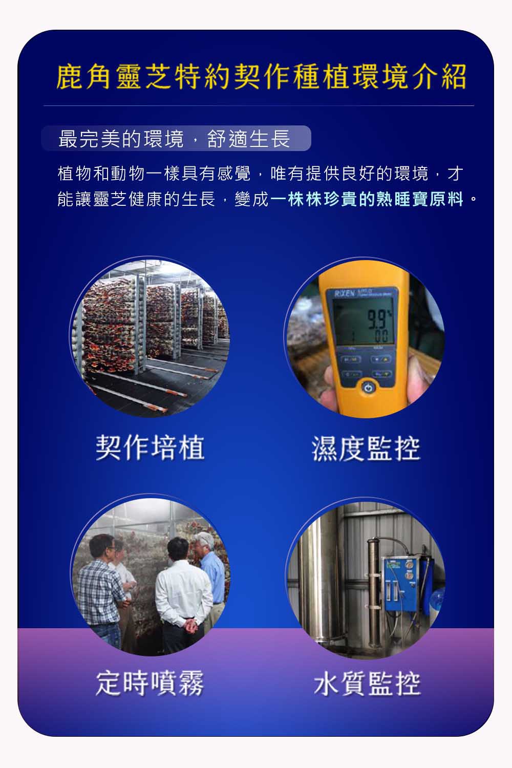 【超值2+2】Bugu®-S 植萃熟睡寶膠囊 Sleep Way® (60顆/盒)*2，贈佳人養妍飲(12包/盒)*2 (組)